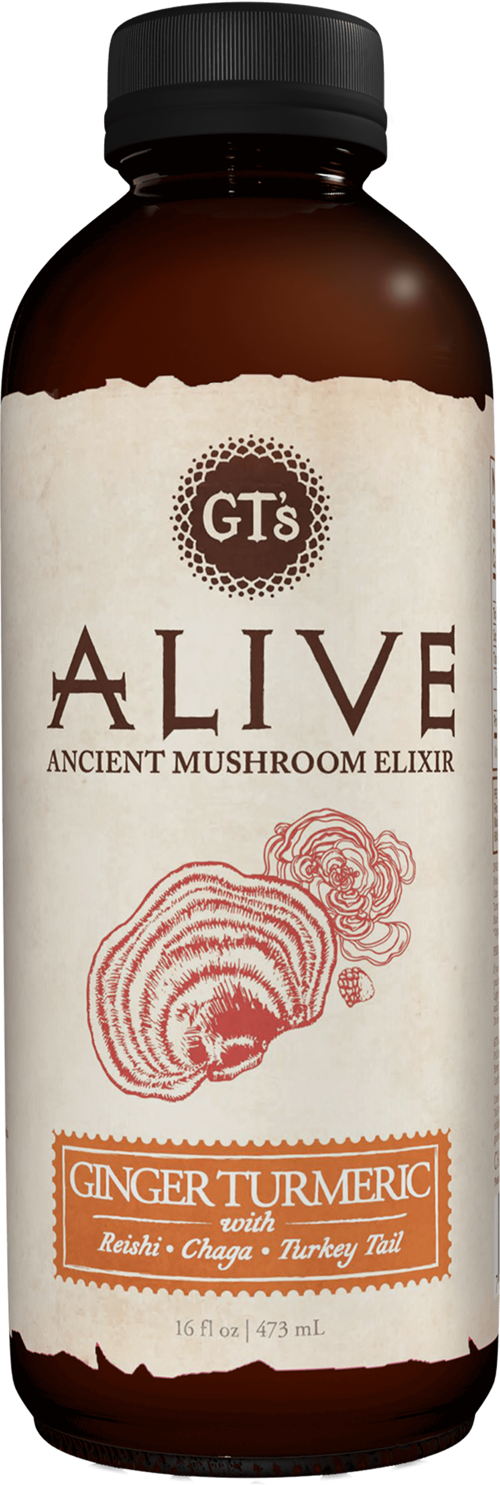 GT's Ginger Tumeric Alive Ancient Mushroom Elixir | Staple and Spice Market